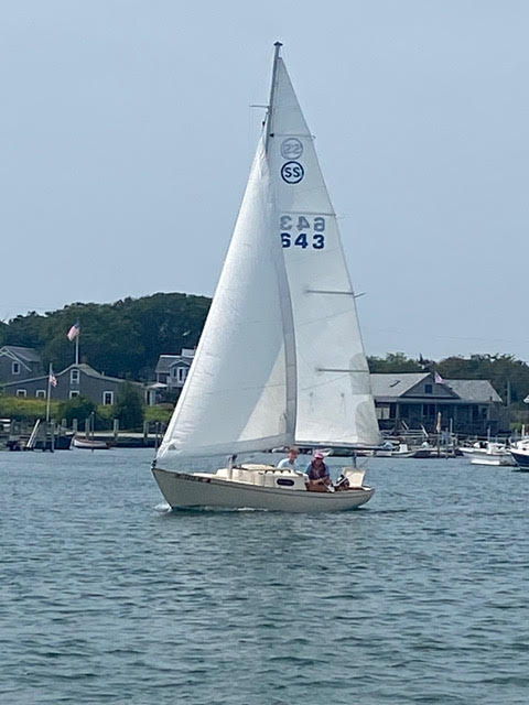 SS23-643-NUMBER 9 image 5 | SEA SPRITE ASSOCIATION